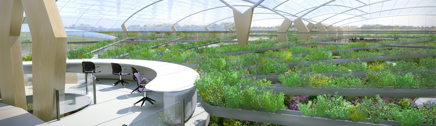 Except Integrated Sustainability